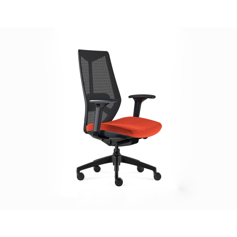 Friant Ignite Ergonomic Mesh Task Chair with Lumbar Support, Pneumatic Lift, Adjustable Seat ...
